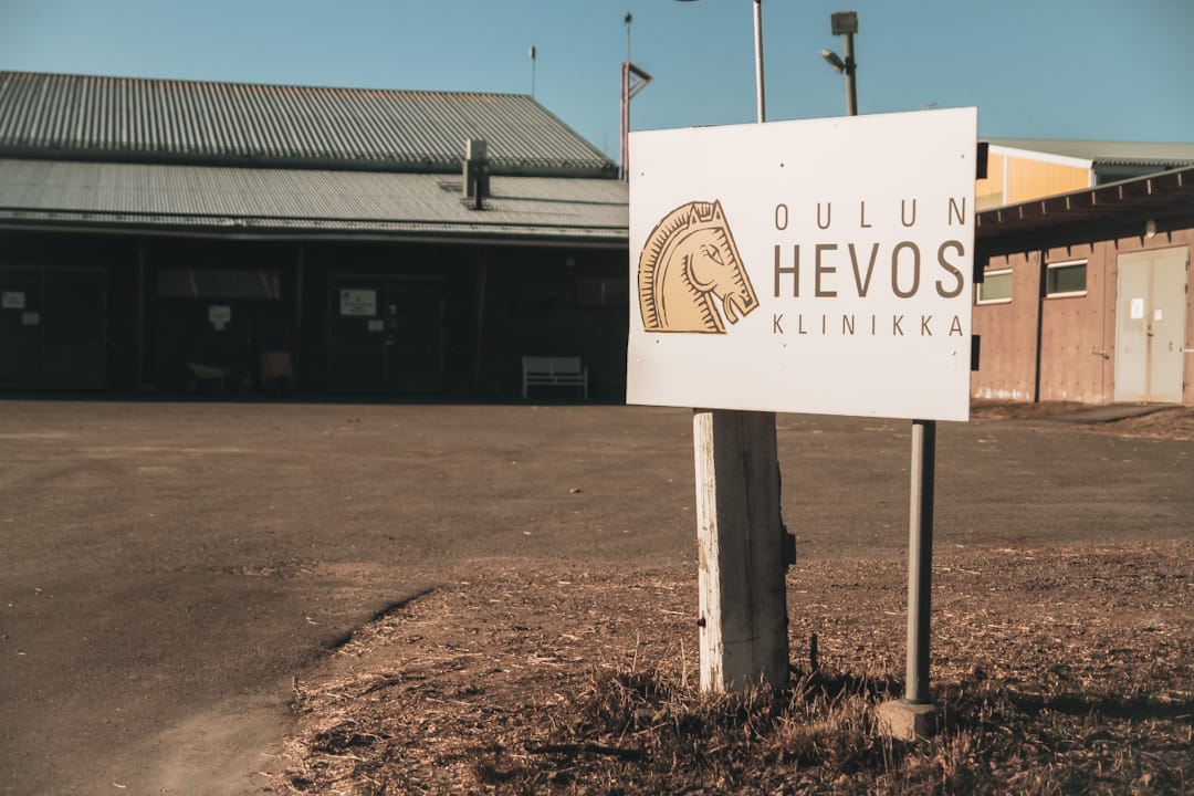 Oulun Hevosklinikka On Number One 2023 Yhteistyökumppani Oulun Ravit